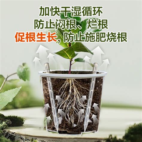 新品曝光！透明透气花盆通风管，干湿循环防闷根烂根神器！植物养护新革命！ 土壤透气管 淘宝好物网