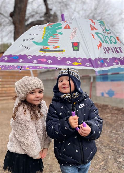 მწვანე სკოლა დიღმის მწვანე სკოლა დიღმის მასივი