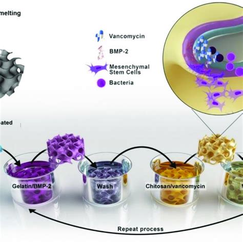 Pdf Surface Modification Of Biomedical Ti And Ti Alloys A Review On Current Advances