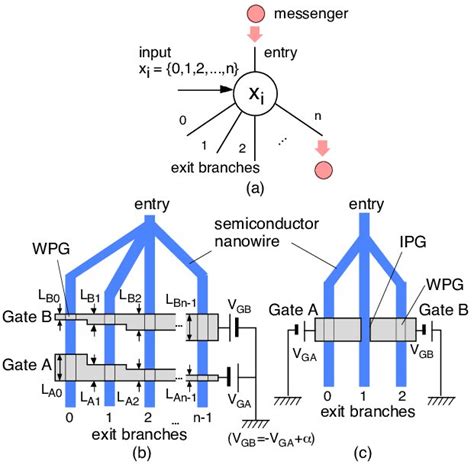 A Logical Structure Of A Multi Path Switching Device For The Mdd