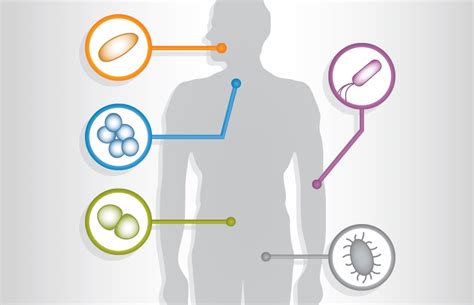 אדם Microbiome Analysis