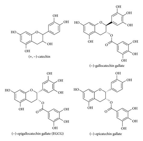 Chemical Structure Of The Main Catechins Catechins Are Characterized Download Scientific