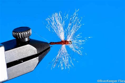 Pmd Spinner Fly Patterns Riverkeeper Flies