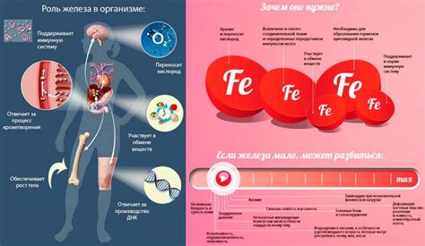 Железодефицитная анемия симптомы диагностика лечение клинические