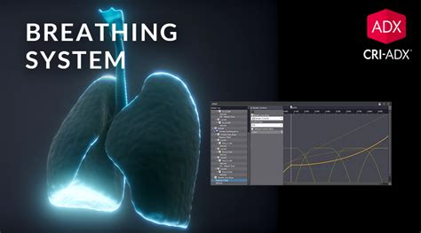 player breathing system cri middleware blog