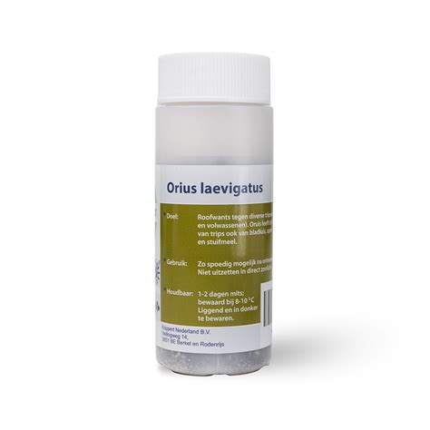 Orius N Koppert Producten