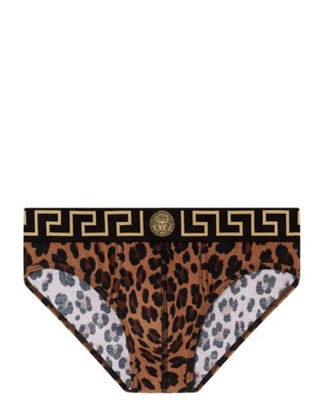 Versace Greca Border Leopard Print Briefs In Brown For Men Lyst