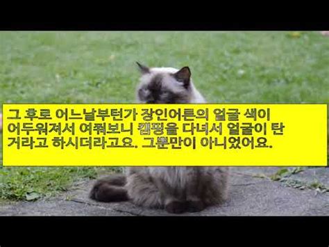 실화사연나는 혀로 그녀의 보지를 빨고 한 손가락으로 그녀의 항문을 부드럽게 애무했습니다 YouTube