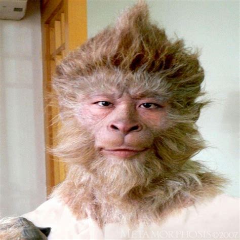 Bbbbbbbbbbbbbbbbbbb Música E Letra De Lost At Sea Spotify