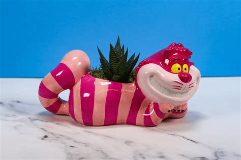 Shop Micro Bikinis Summers Hottest Trend Womens Designer Fashion