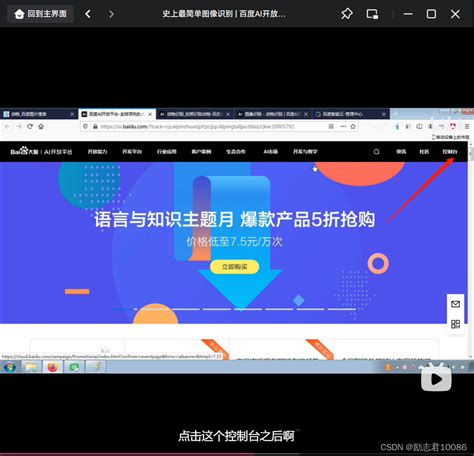 百度ai开放平台 Qt图像识别（p1 百度ai 图像识别 P2 图像编码处理 P3 获取access Token P4 图像处理结果） Qt Creator图像识别 Csdn博客