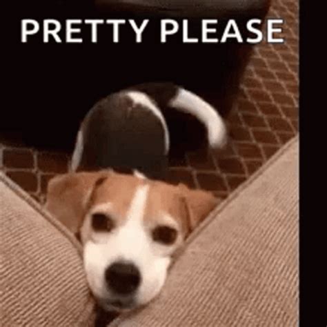 Pretty Please S