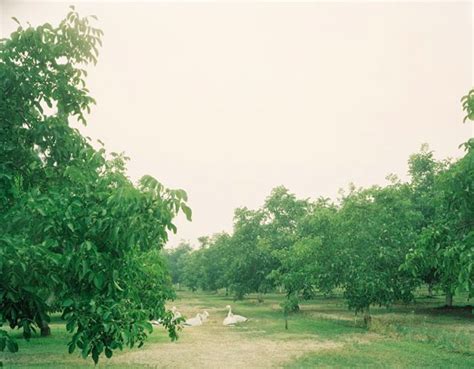 Youngsuk Suh Kala Art Institute