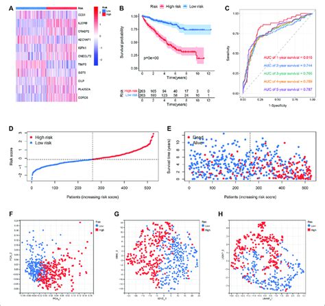 Predictive Performance Of The Prognostic Risk Model In The Tcga Download Scientific Diagram