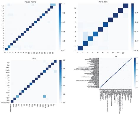 Attention Based Graph Neural Network For Label Propagation In Single Cell Omics