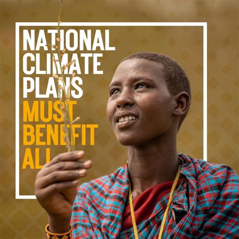 Un Redd Programme On Linkedin Climateaction Saveforestsnow