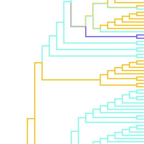 Maximum Parsimony Ancestral State Reconstruction Using Mesquite V310