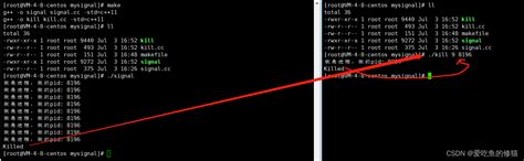 Linux进程信号 上 linux sigfpe CSDN博客