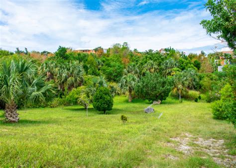 Who Is Gladys Morrell And Why Is There A Nature Reserve Named For Her