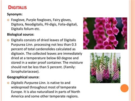 Cardiac Glycosides And Plants Ppt