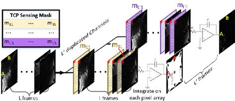 Figure 3 From A Tempo Spatial Compressed Sensing Architecture For