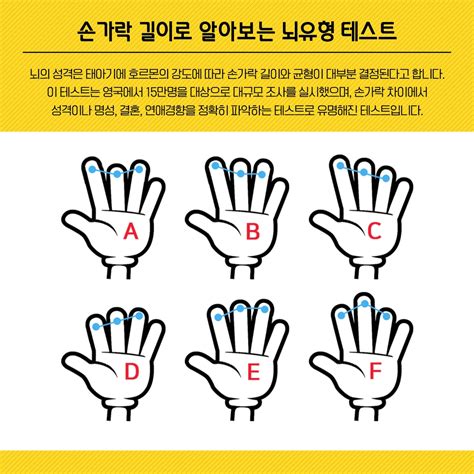 왼손 손가락 길이로 알아보는 뇌유형 테스트 나는 무슨 유형의 뇌를 가진 사람일까 자유게시판 동국제약주