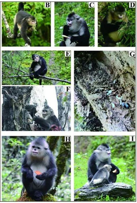 凌恩生物文献分享 颠覆性的宏基因组新思路，速来get！ Lefse Kegg Csdn博客