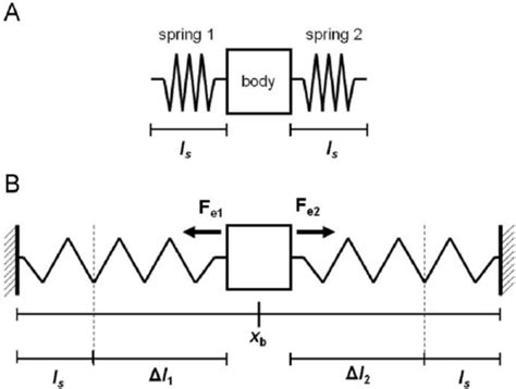 The Prestressed Two Spring Model Of The Joint Passive Elastic Download Scientific Diagram