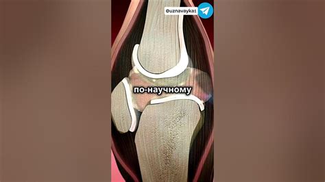 У МЛАДЕНЦЕВ ПРИ РОЖДЕНИИ 😱😱😱 факты интересныефакты дети родители Youtube