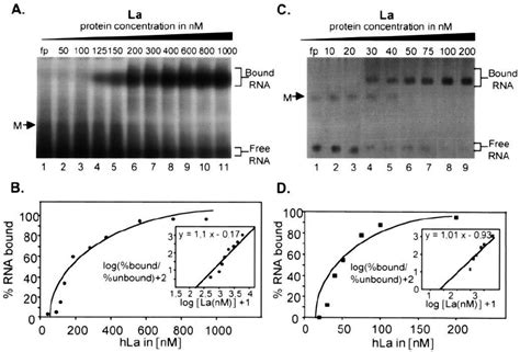 Quantification Of Rna Protein Interactions A Representative Gel Download Scientific Diagram