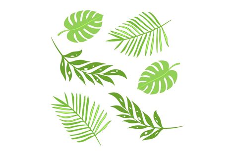 Tropical Leaf Print