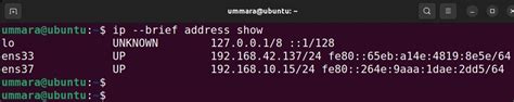 how to use the ip command to manage networks in linux