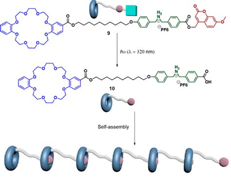 Phototriggered Supramolecular Assembly Acs Omega