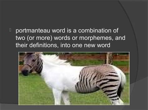 Types Of Deviation Ppt