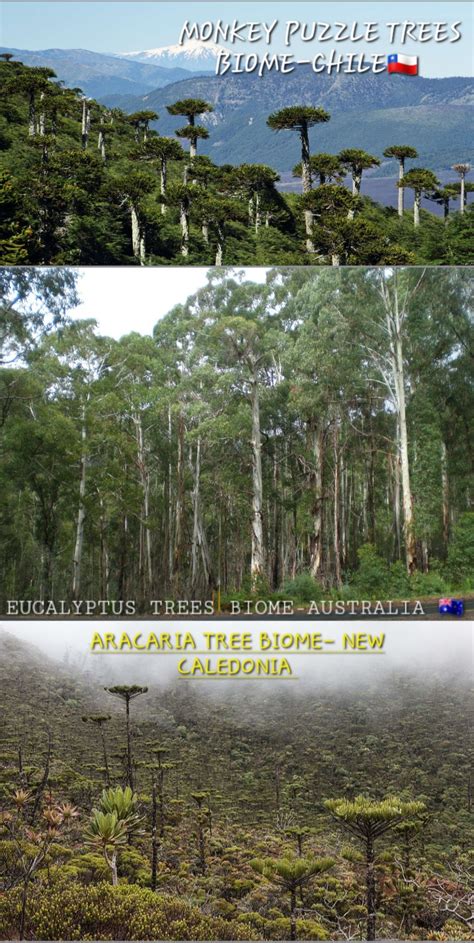 Quality Life Improvements For Frontier Developers To Consider Frontier Forums