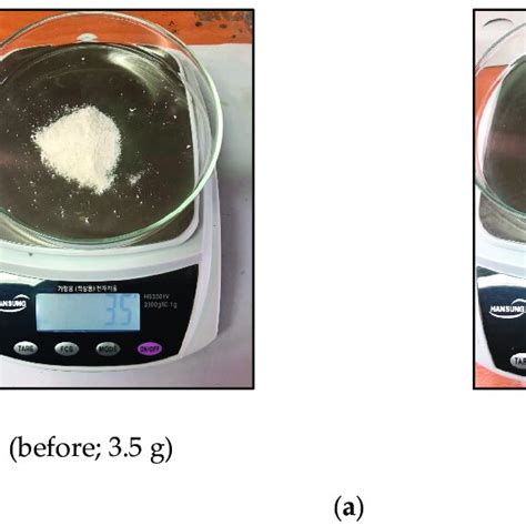 Morphology Of Polynorbornene Powder At 100× Magnification Download