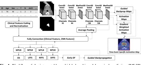 Figure 1 From Advancing Head And Neck Cancer Survival Prediction Via Multi Label Learning And