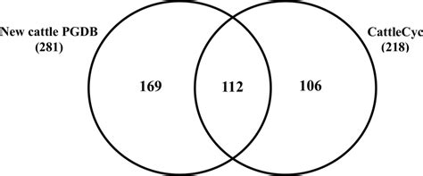 comparison of cattle specific pathway genome database pgdb based on