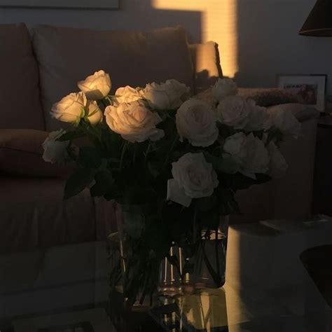 Pinterest Beautiful Flowers Flower Aesthetic Pretty Flowers