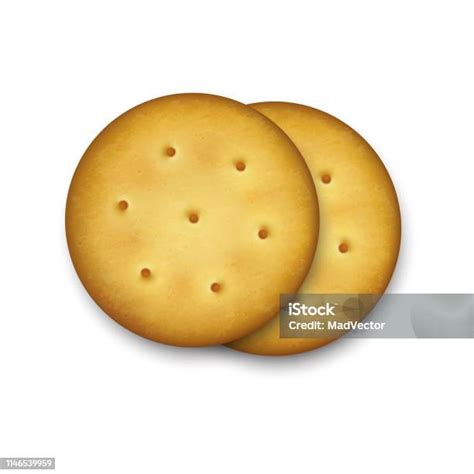 현실적인 벡터 3d 라운드 맛 있는 짠 쿠키 소박한 크래커 비스킷 설정 근접 촬영에 고립 된 투명 한 배경 달콤한 쿠키 맛 있는 크래커 아침 간식의 디자인 서식 파일 3차원