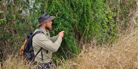 Weed Id And Control Workshop Watergum