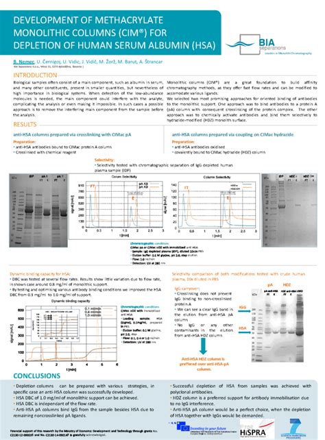 Development Of Methacrylate Monolithic Columns For Depletion Of Human Serum Albumin Hsa