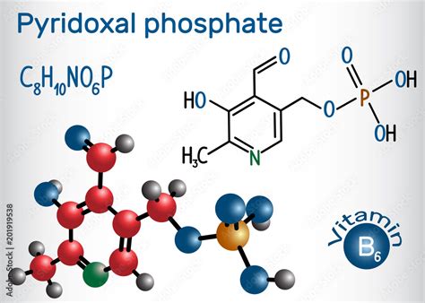 Pyridoxal Phosphate Plp Pyridoxal 5 Phosphate P5p Vitamin B6 Is A Coenzyme Structural