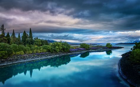 🔥 Free Download Nature Landscape Wildflowers Trees Calm River Water By