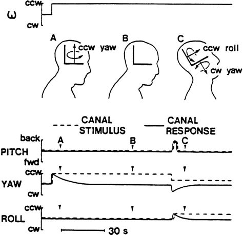 Illustration Of Coriolis Cross Coupling Stimulation Download Scientific Diagram