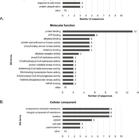 Gene Ontology Classification Of 20 Protein Analyzed With Blast2go Download Scientific Diagram