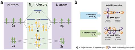 N2h2 Hybridization For Each Of The Following Molecules Draw A 3 D