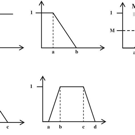 Evaluation Functions Used Were L1 Positive Linear Function L2