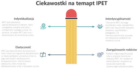 Ipet Według Nowego Rozporządzenia Wypełniony Wzór 2025