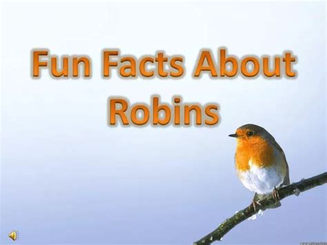 Ppt Fun Facts About Robins Powerpoint Presentation Free Download Id